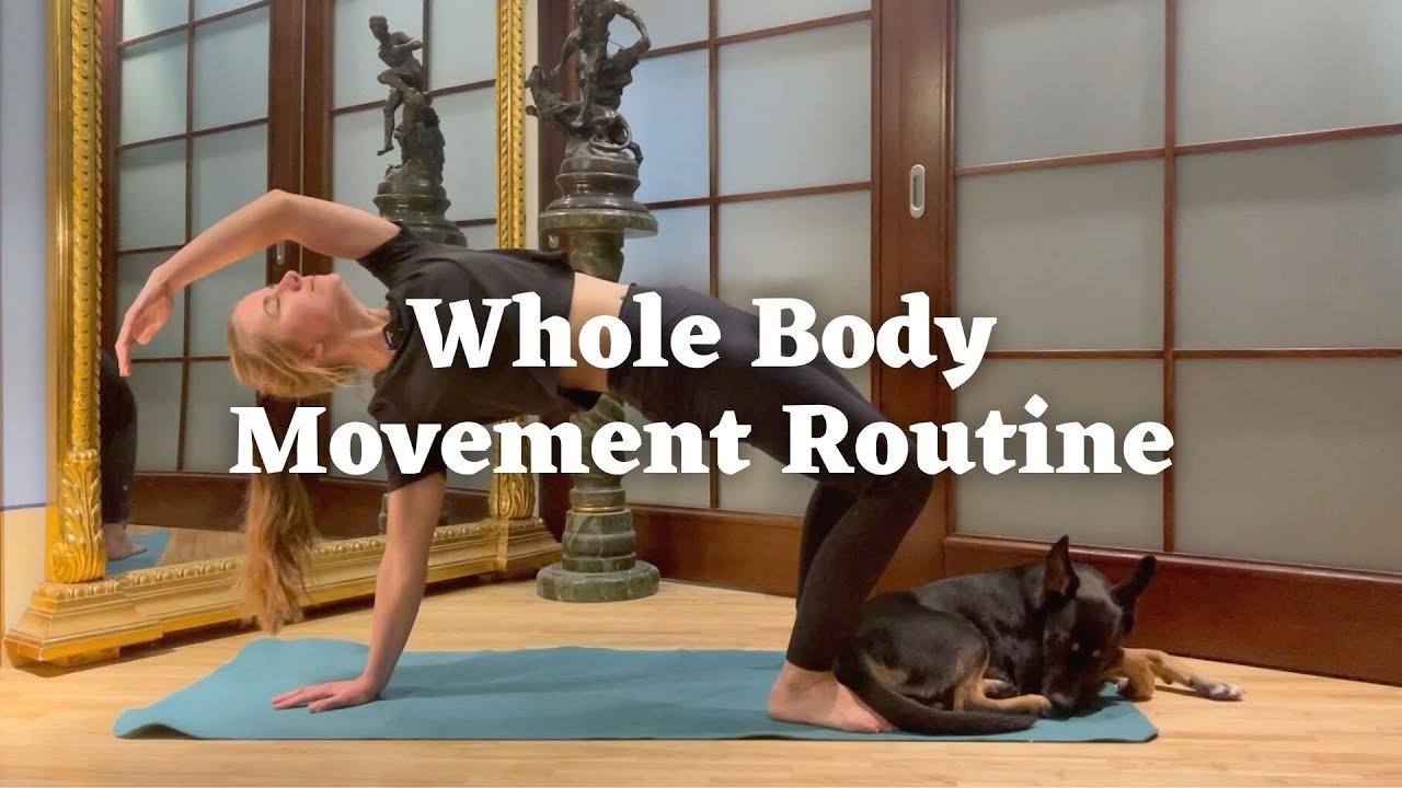 18 min Playful Whole Body Movement Flow Routine | Yoga for Climbers ...