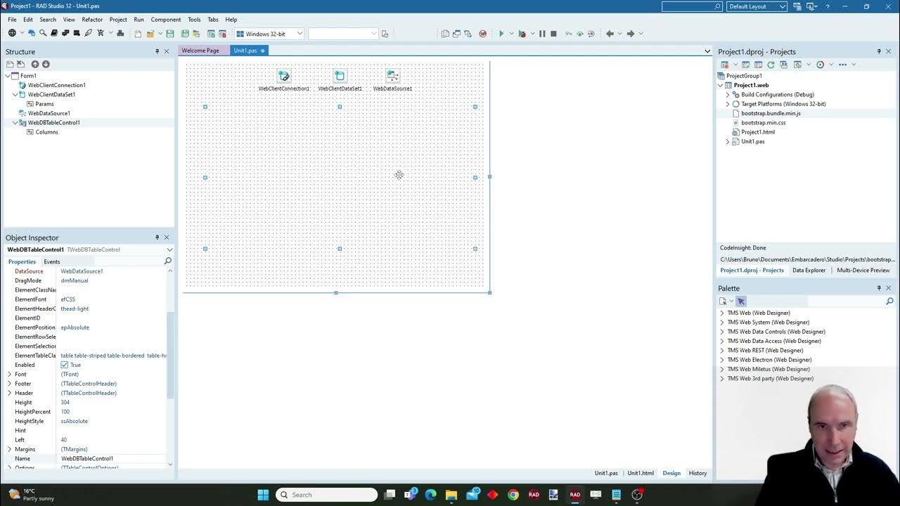 Live data in the web form designer in TMS WEB Core for Delphi - YouTube