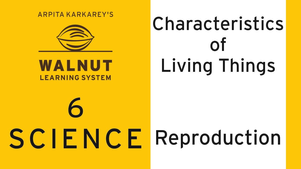 6 Science - Characteristics of living things - Reproduction - YouTube