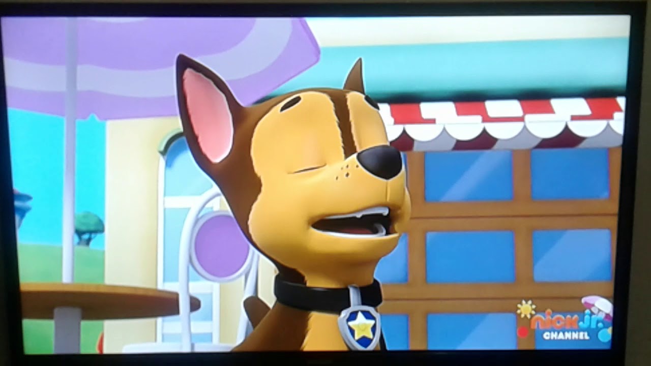 Paw Patrol Pups Save The Fizzy Pickles - YouTube