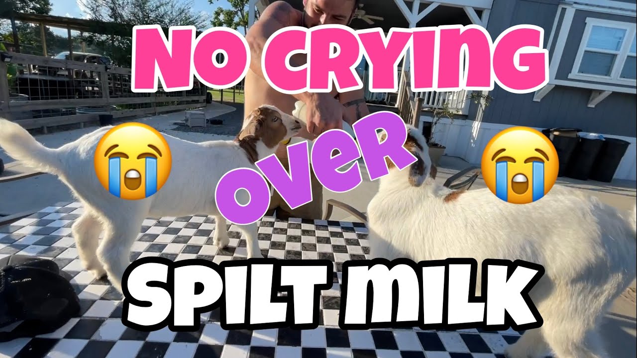 No Crying Over Spilt Milk - YouTube
