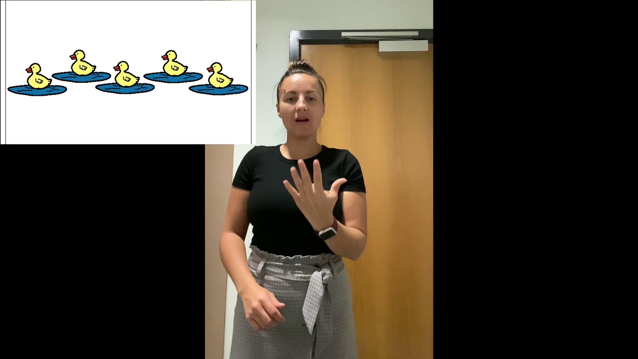 5 little ducks ~ SIGNALONG ~ nursery rhymes ~ sign language ~ BSL ~ the ...
