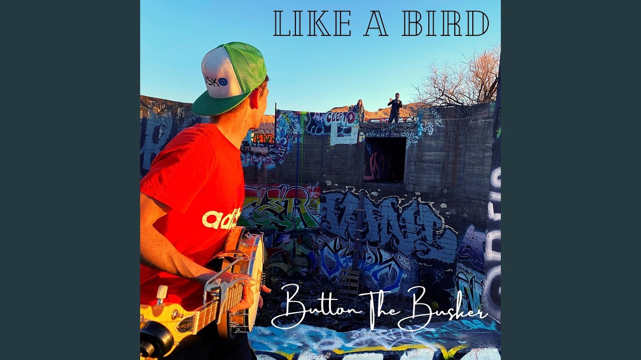 Like a Bird - YouTube