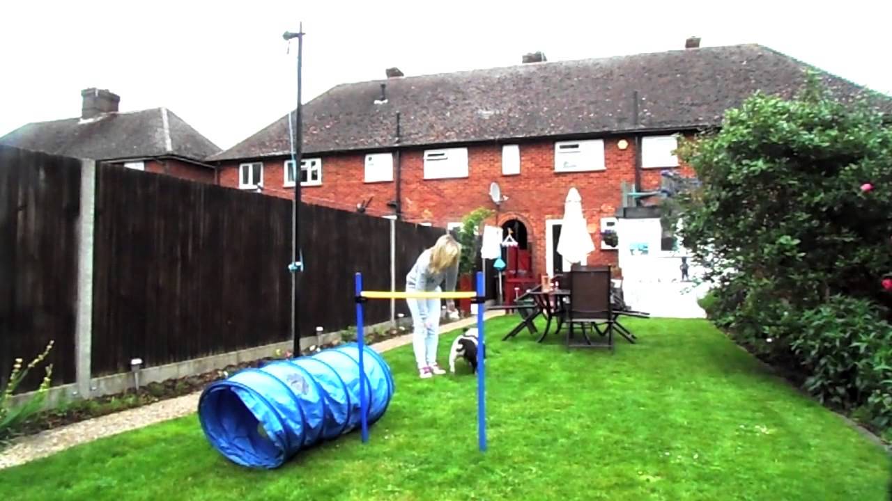 Keep standing tall and hold your ground - YouTube