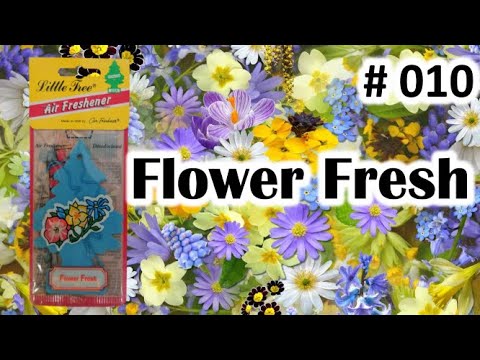 Discontinued Little Trees Collection # 010 (Flower Fresh) - YouTube