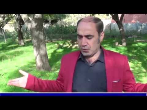 Zaza Nuro - Analar Ağlamasın
