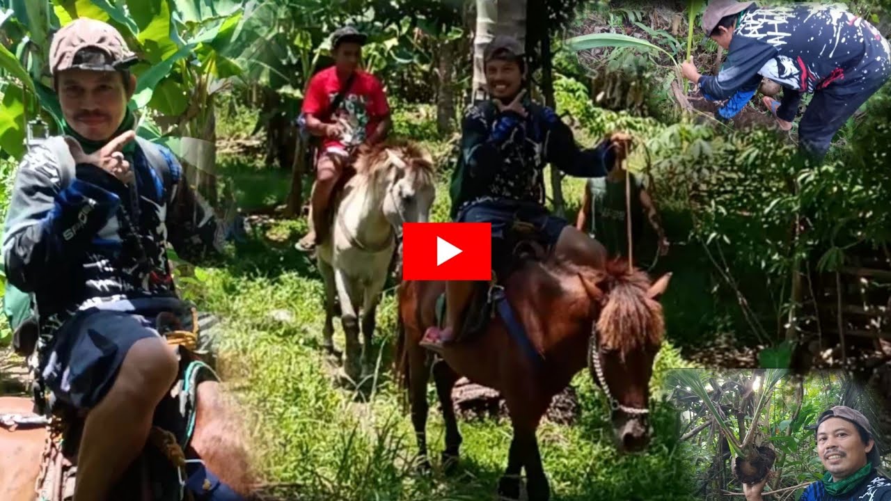 KABAYUHAN.. - YouTube