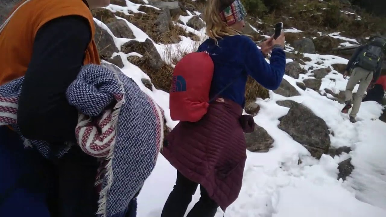 THE BEST TREKKING BIR BILLING HIMACHAL - YouTube