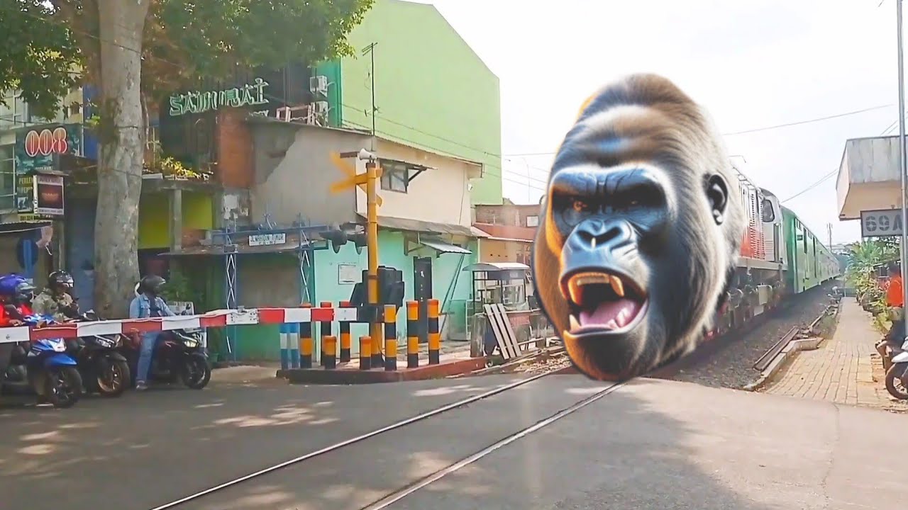 step aside kids..!!the mighty gorilla train is want to get through the ...
