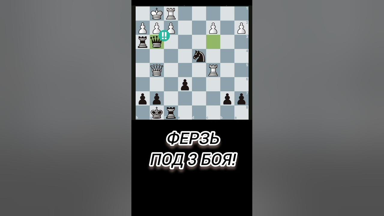 Самая Красивая жертва ферзя в шахматах рекомендации шахматы Chess