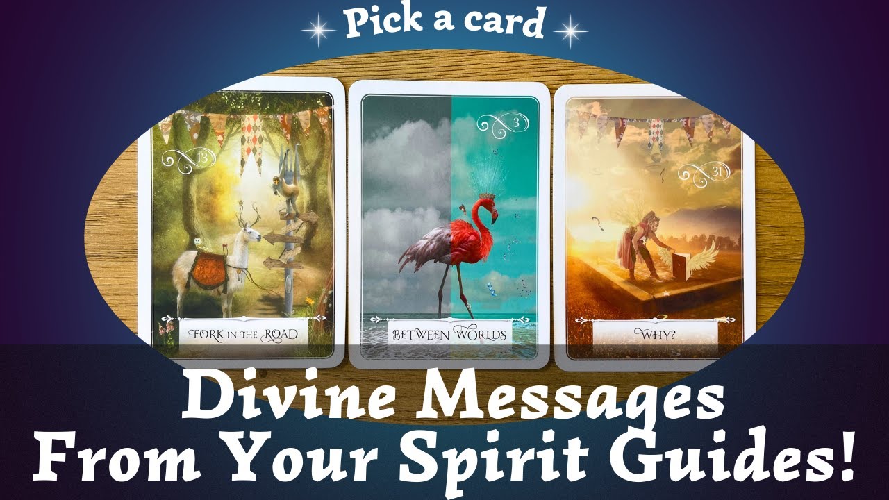 Divine Messages From Your Spirit Guides?! 🕯️💙⎜ Pick a card⎜Timeless ...