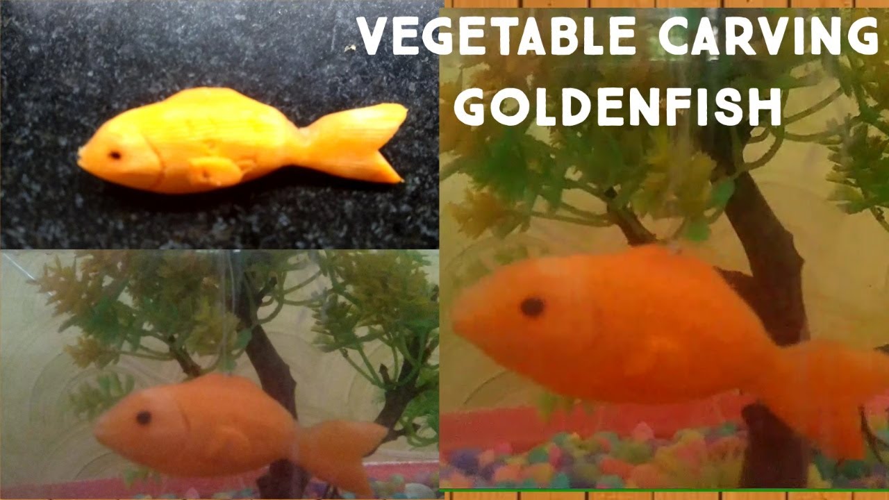 VEGETABLE CARVING/ CARROT ORNAMENTAL GOLDEN FISH/DIY/CARROT CARVING ...