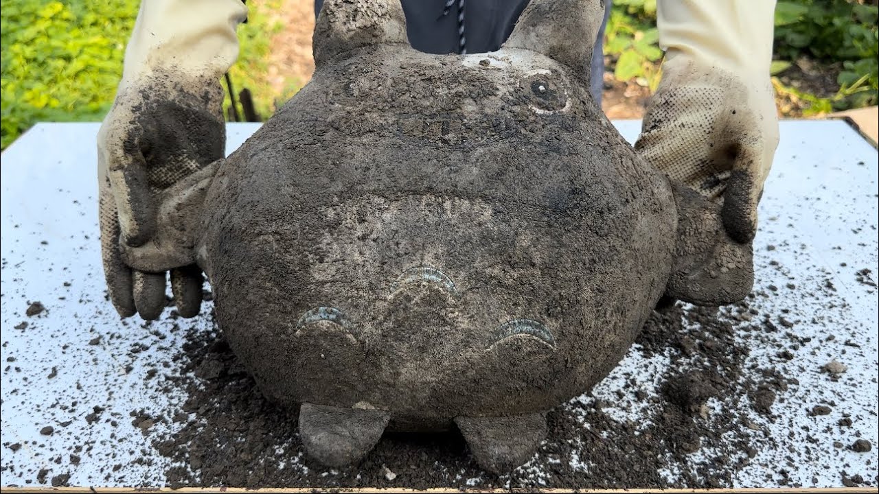 I Brought Back to Life the Forgotten Smiling ToToro Teddy Bear - YouTube