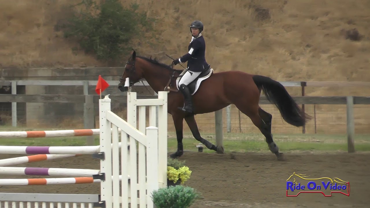 023S Heather Lamb on Cristal de Carlier Training Rider Show Jumping ...