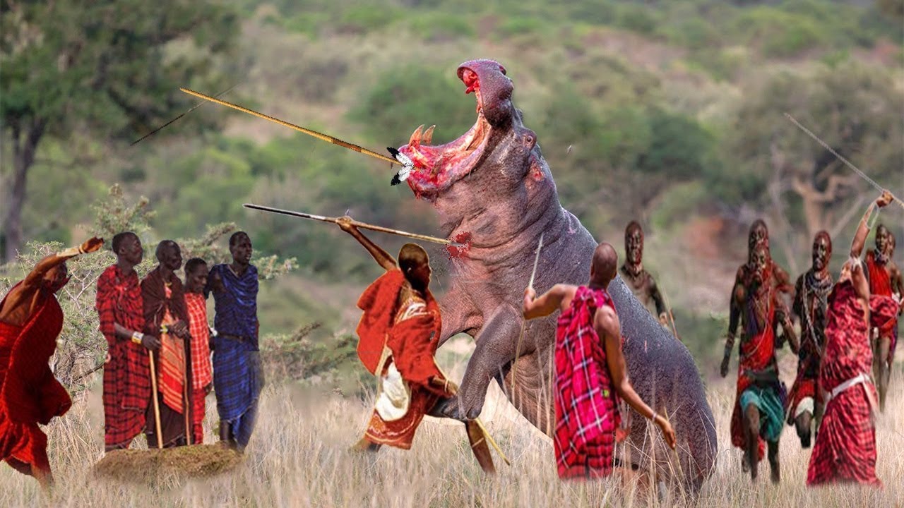 Horror! Most Crazy African Tribe Hunt and Kill Wild Animals - Hippo ...