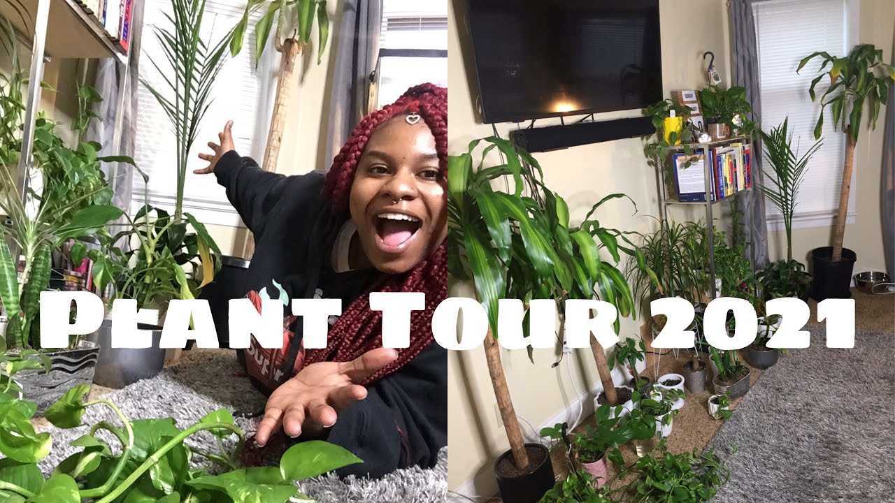 APARTMENT PLANT TOUR | NEW 2021 PLANT TOUR | HOW TO | TIPS AND TRICKS ...