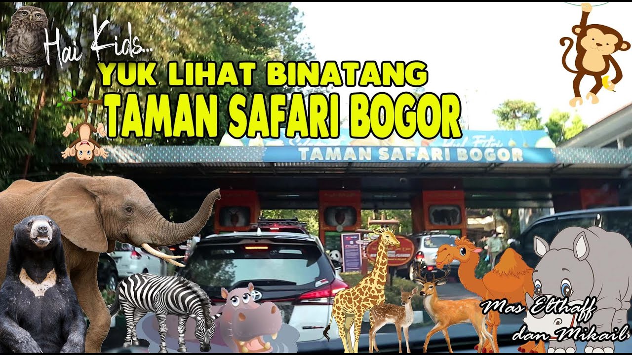 GOING TO THE ZOO - TAMAN SAFARI BOGOR part 1 - YouTube