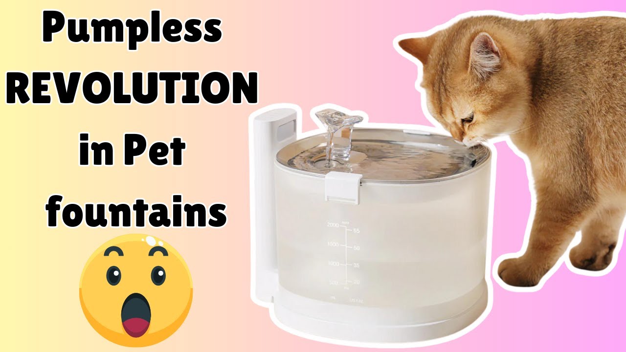 Elfin Fountain for Cats - Pumpless REVOLUTION in Pet water fountains ...