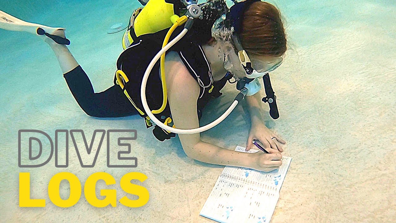 How To Log Your Dives And Why You Should YouTube How To Log Your Dives And Why You Should YouTube