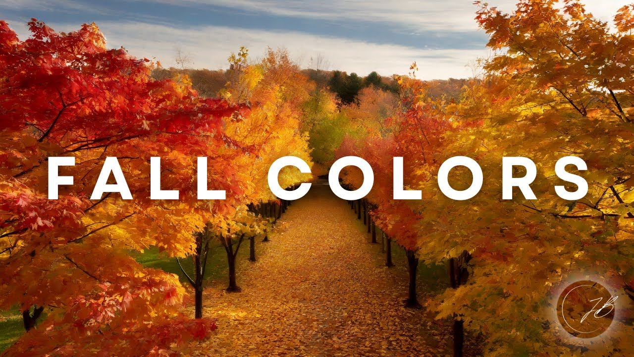 FALL COLORS: Autumn Cinematic Drone Footage - Relaxing Ambient Music ...