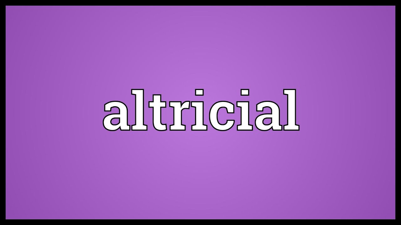 Altricial Meaning - YouTube