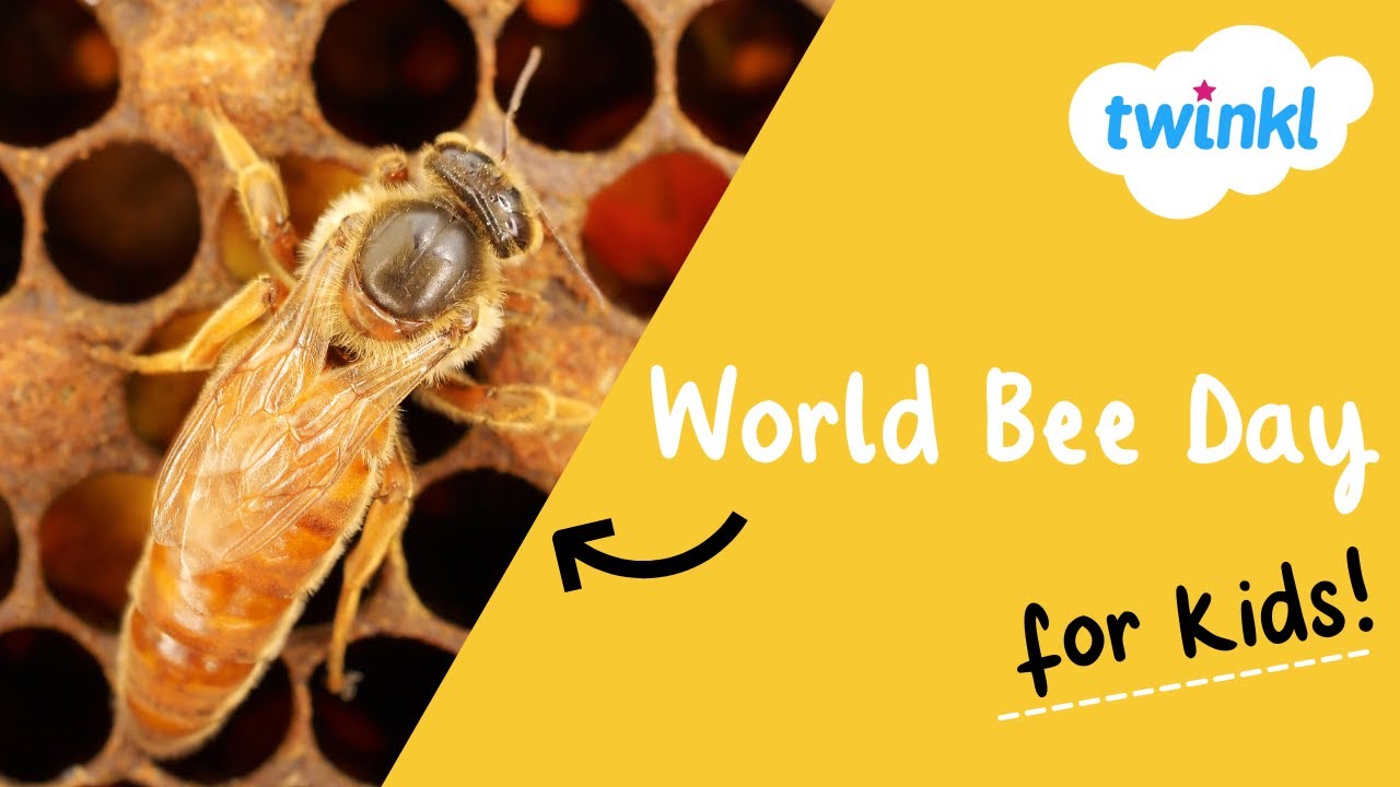 🐝 World Bee Day | 20 May | Why Are Bees Important? | Save the Bees ...