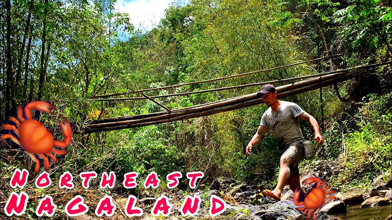 Catching Crab Alone in river | Vekuto Vlogs | Nagaland - YouTube
