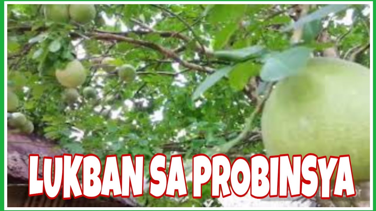 Lukban - YouTube