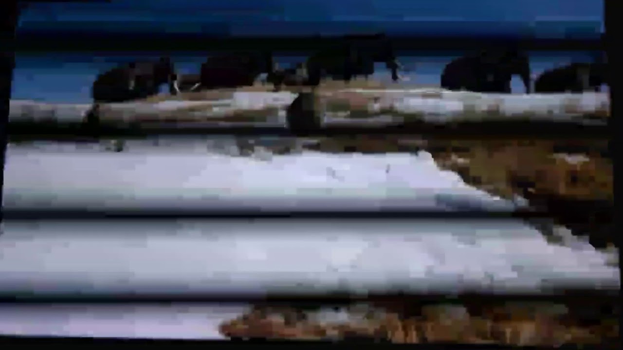 Walking with beasts mammoth Journey part 6/ the neanderthals - YouTube