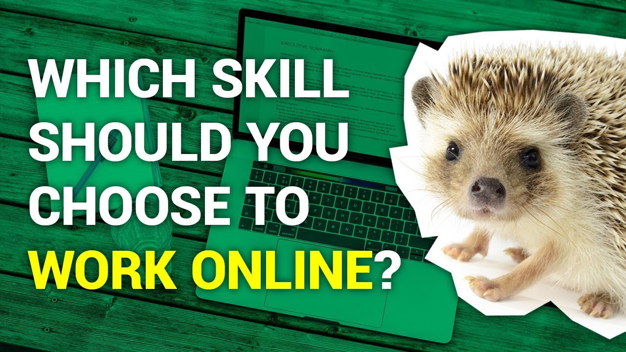 "Which Skill Should I Choose To Work Online?" – The Hedgehog Method Of ...
