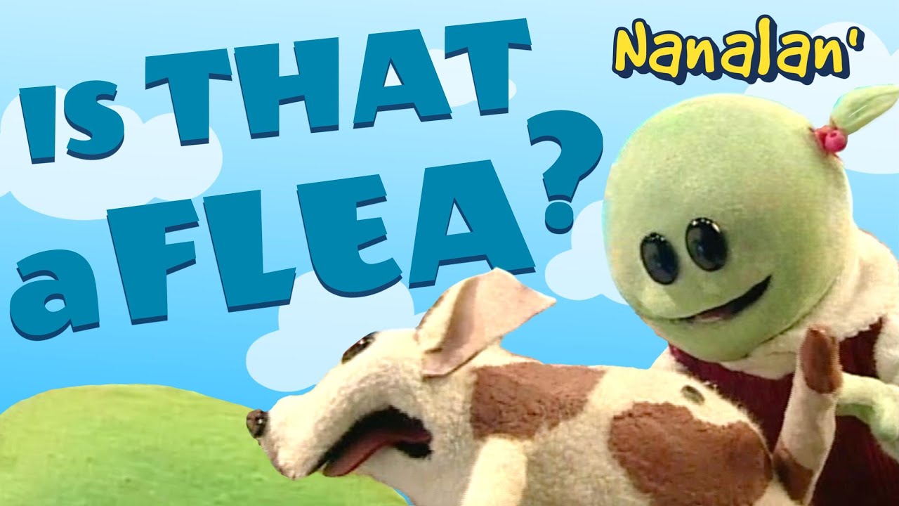 RUSSELL'S ITCH - nanalan' short #16 - YouTube