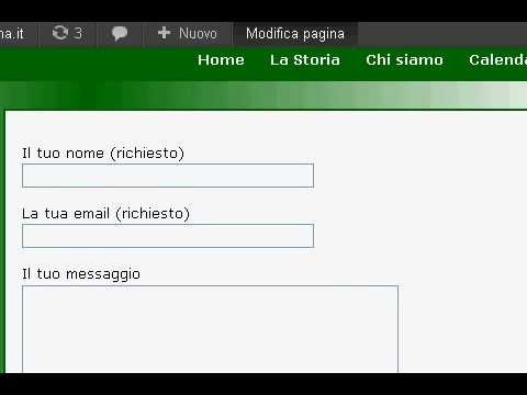 Wordpress Come inserire un modulo contatti con CForm7 - YouTube