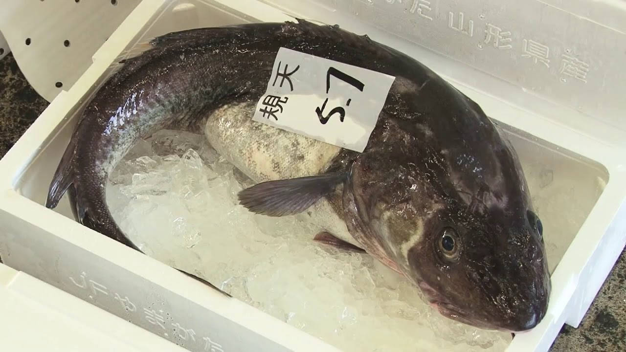 “Food Capital: Shonai” PR Video - YouTube