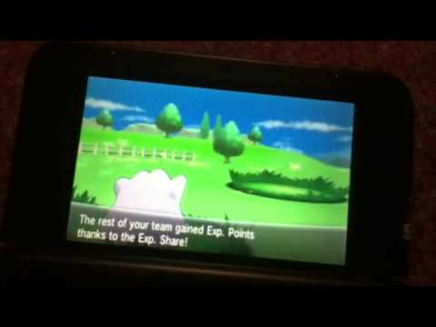 Pokemon Y Shiny Imposter Ditto Encounter - YouTube