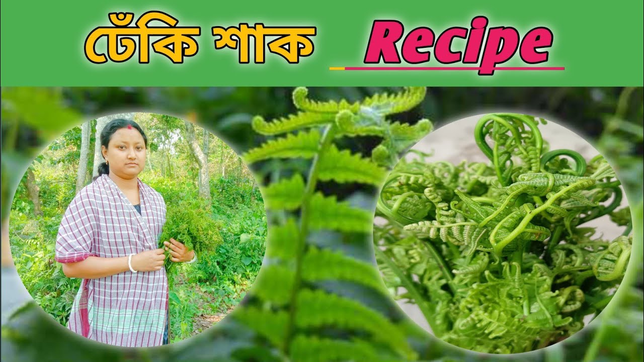 ঢেঁকি শাক রেসিপি 🔥Dheki shak recipe 🔥Dheki shak bengali recipe 🔥Dheki ...