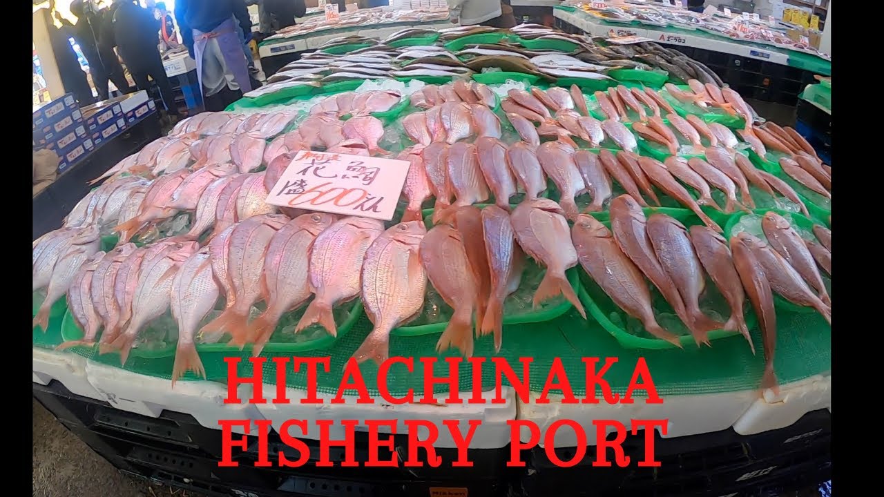 Hitachinaka Fishery Port - YouTube