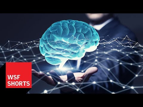 What is the Definition of Intelligence? | World Science Festival