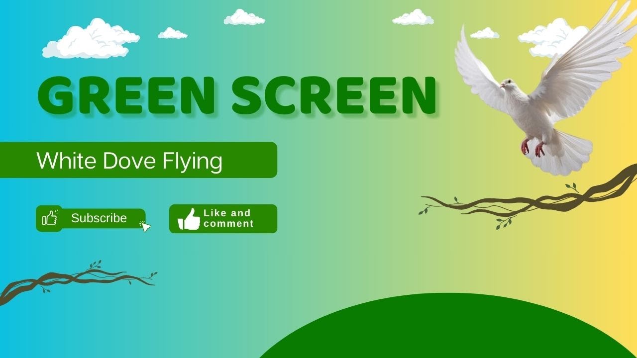 White Dove Flying on Green Screen| Beautiful Effect |No Copyright ...