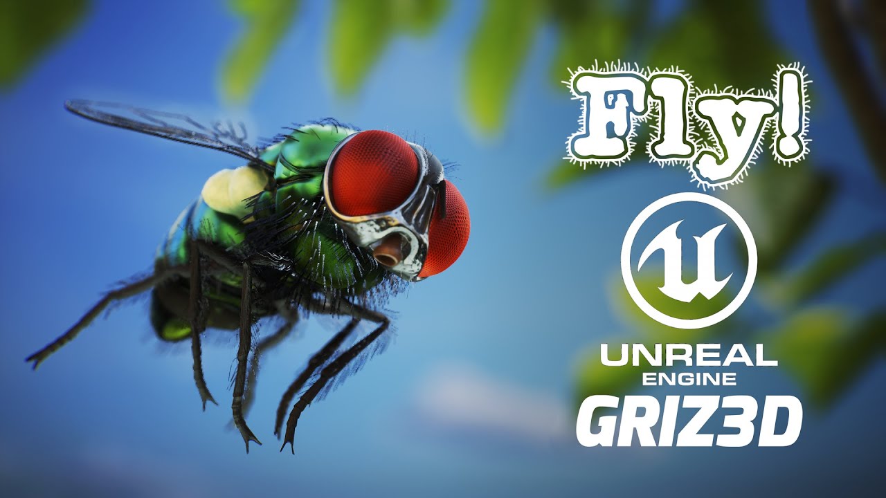 3D Fly animation model and Rig Unreal Engine 5 Blender - YouTube