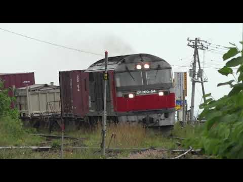 DF200-54号機牽引 貨物列車 室蘭本線 礼文駅付近 - YouTube