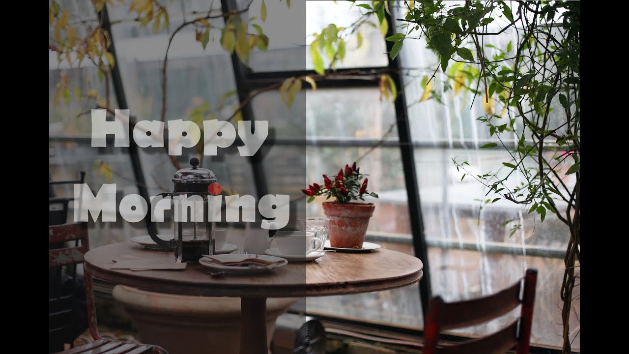 Happy Morning Cafe Music and Rain Sounds - YouTube