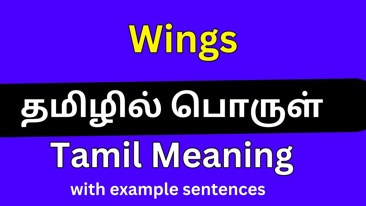 Wings meaning in Tamil/Wings தமிழில் பொருள் - YouTube