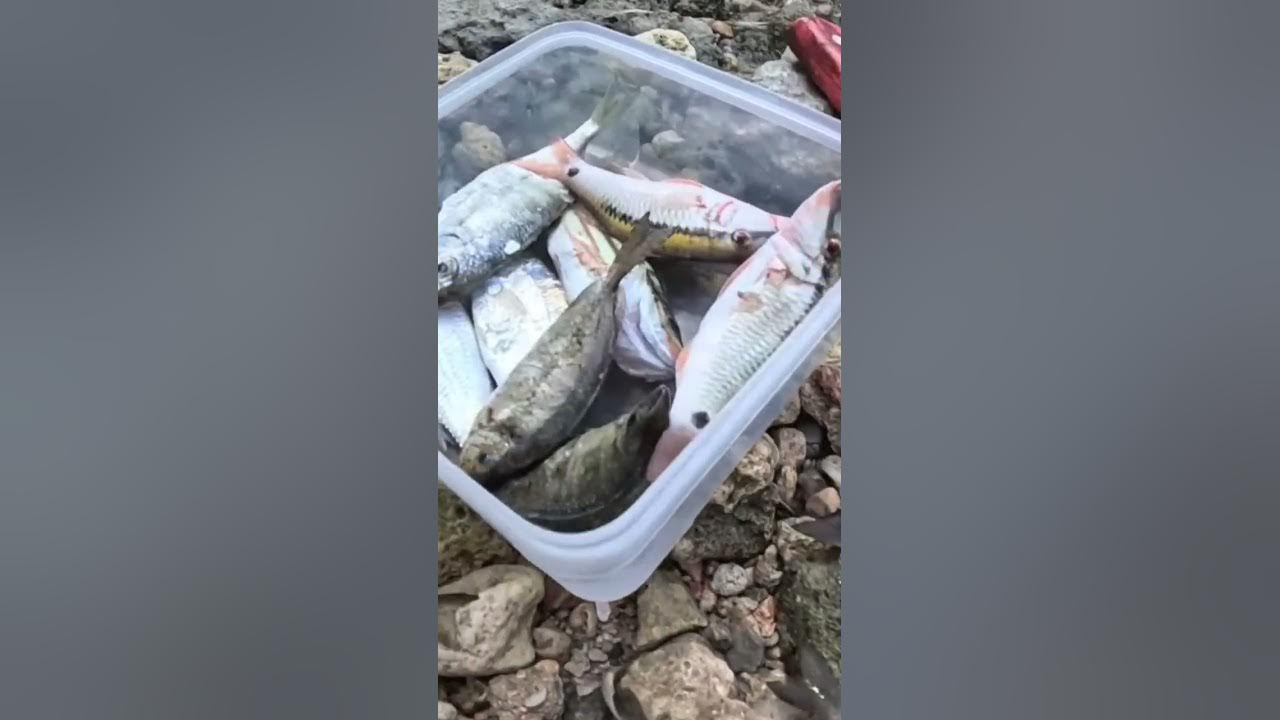 NAGLAMBAT NAMAN KAMI sa DAGAT Ng MASBATE | jobeth kitchen - YouTube