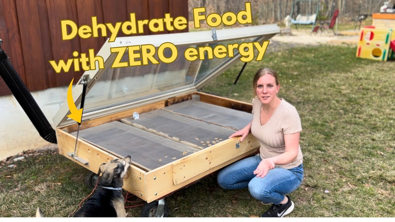 Sustainable homesteading: Our DIY Solar Food Dehydrator FULL Build ...