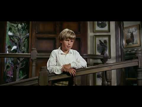 At the Office of Doctor Dolittle