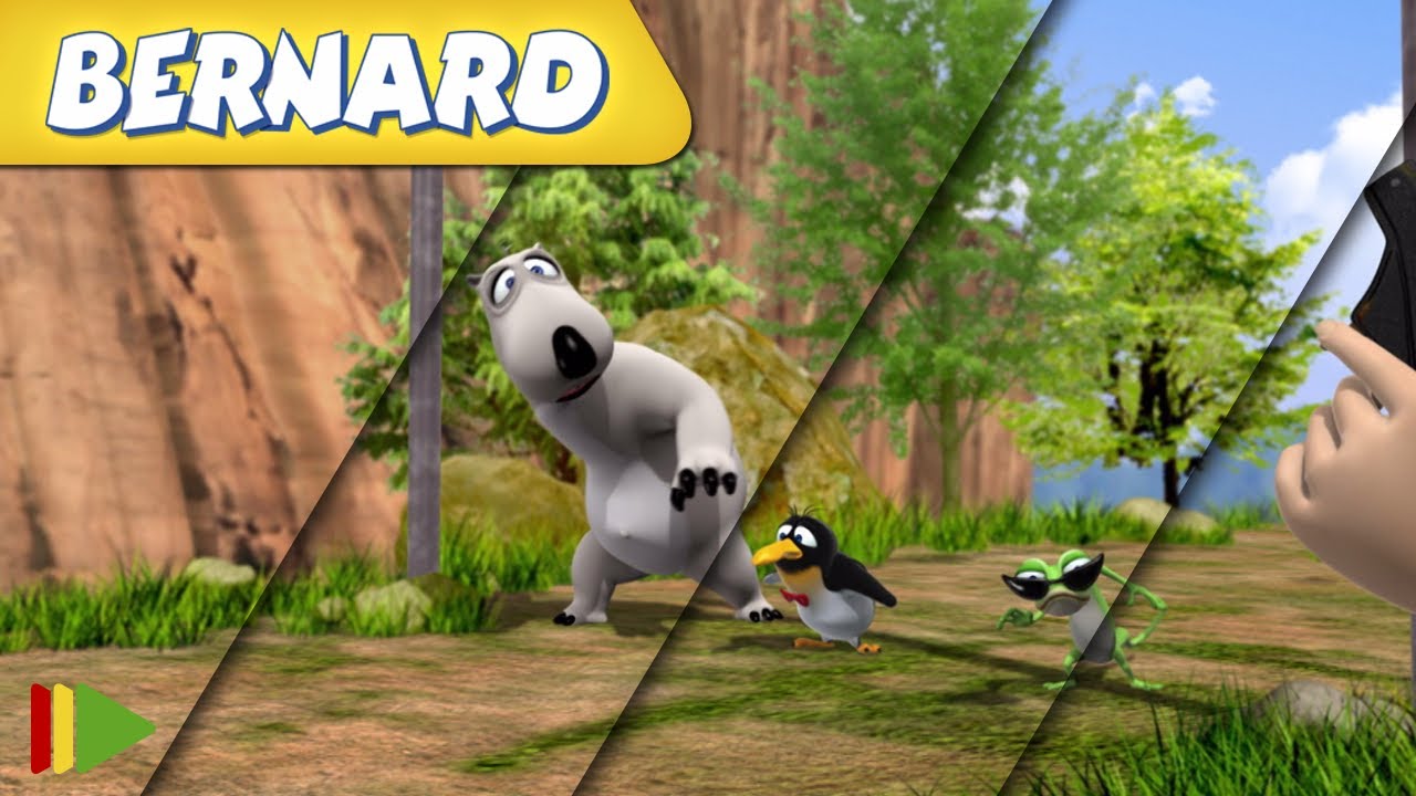 🐻‍ ️ BERNARD | Collection 43 | Full Episodes | VIDEOS and CARTOONS FOR ...