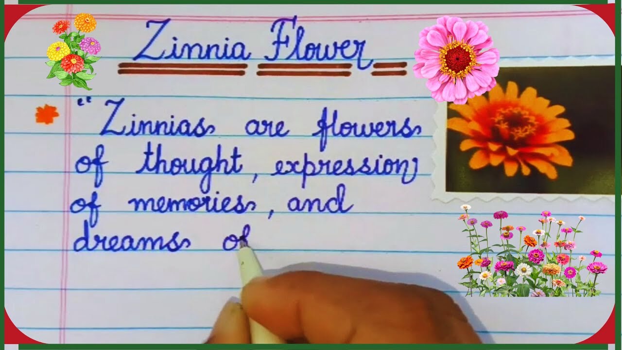 Gorgeous Zinnia Flower Quotes | Zinnia Inspiring Quotes | Zinnia Flower ...