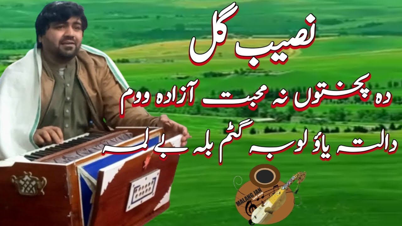 naseeb gul pashto song | Sattar Shah bacha qawwali 2024 5 | Malang Jan ...