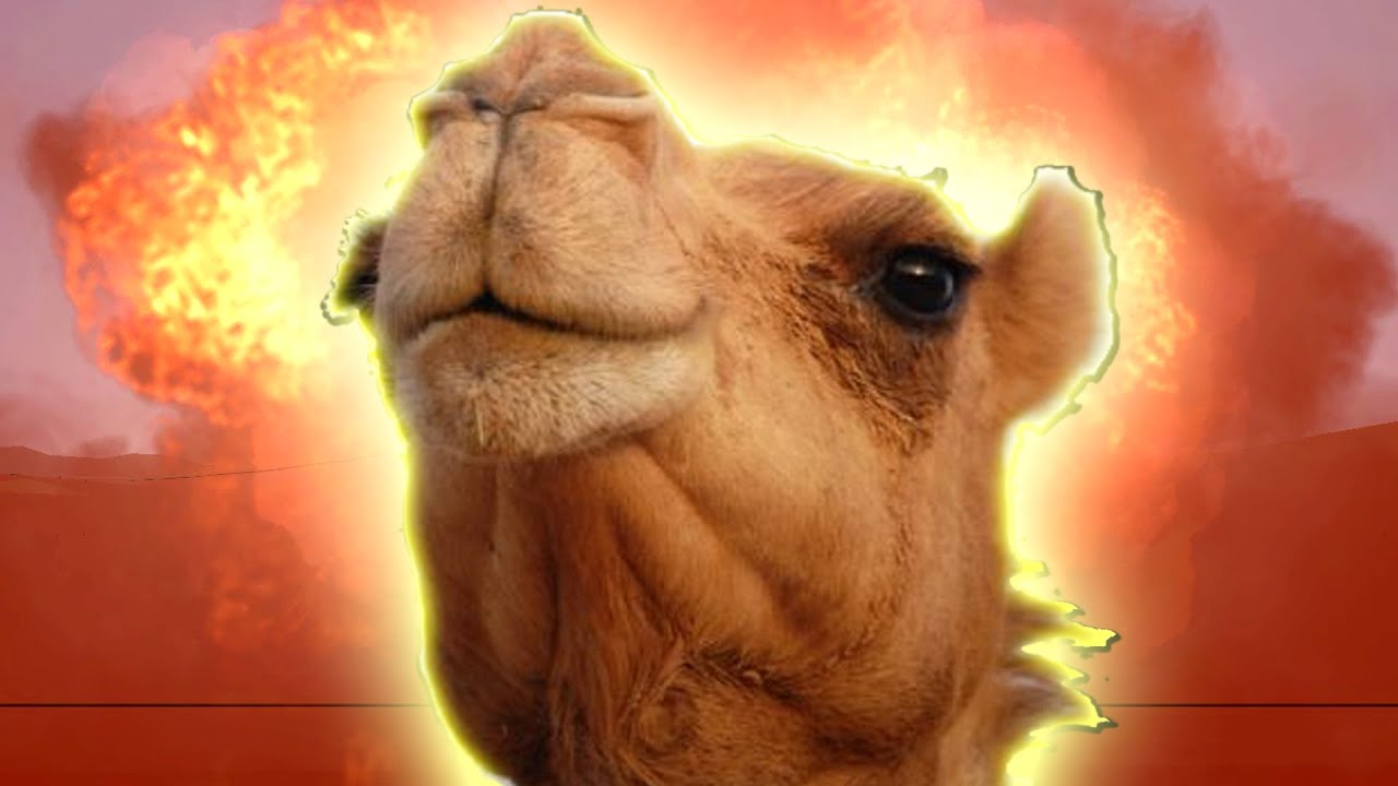 THIS IS NOT A BOMB VIDEO!! | Gmod Camel Mod (Garry's Mod) - YouTube