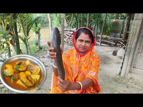আজকে গজার মাছের রেসিপি বানালাম।। gozar fish ।। #food #cooking - YouTube
